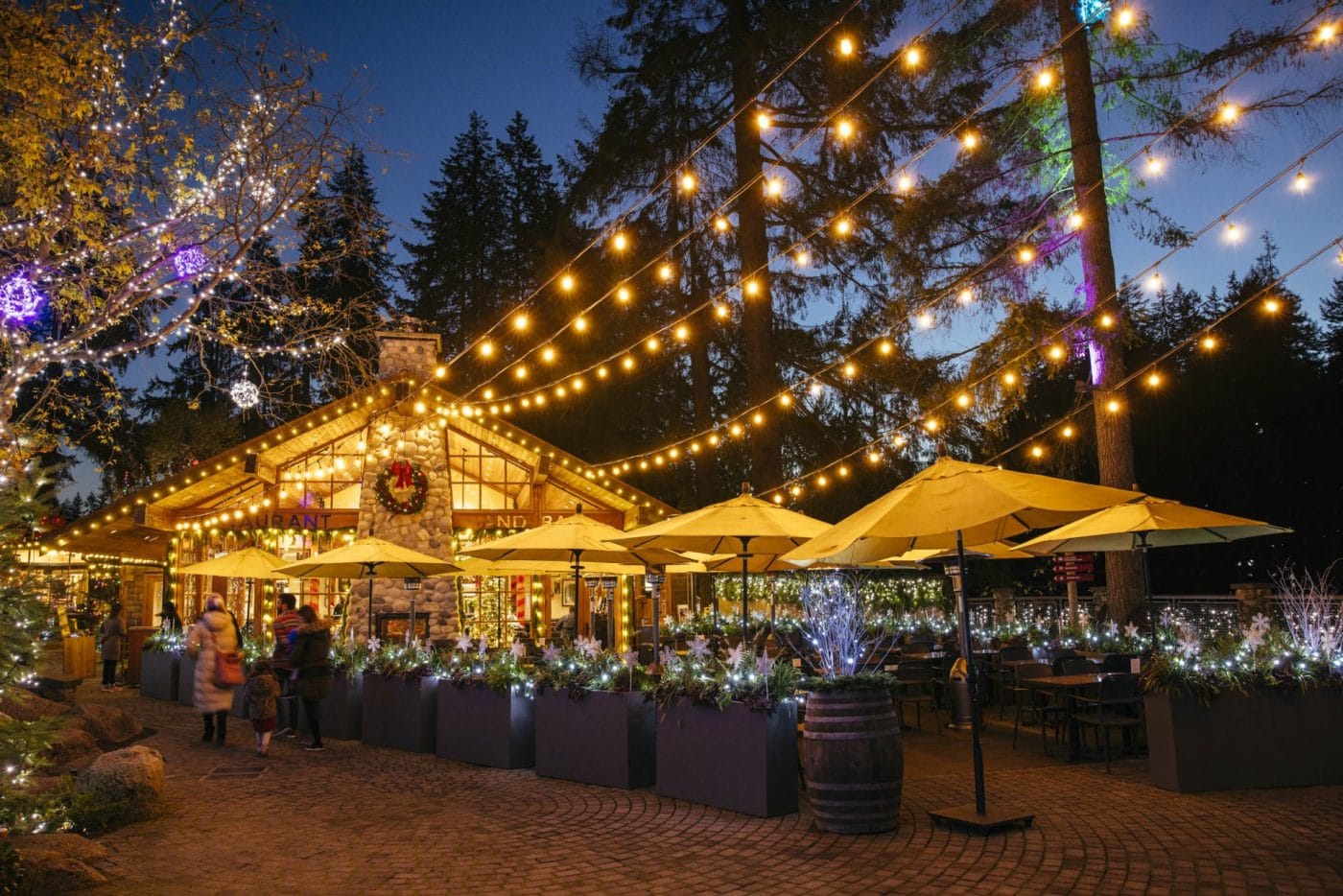 Canyon Lights - Vancouver's North Shore