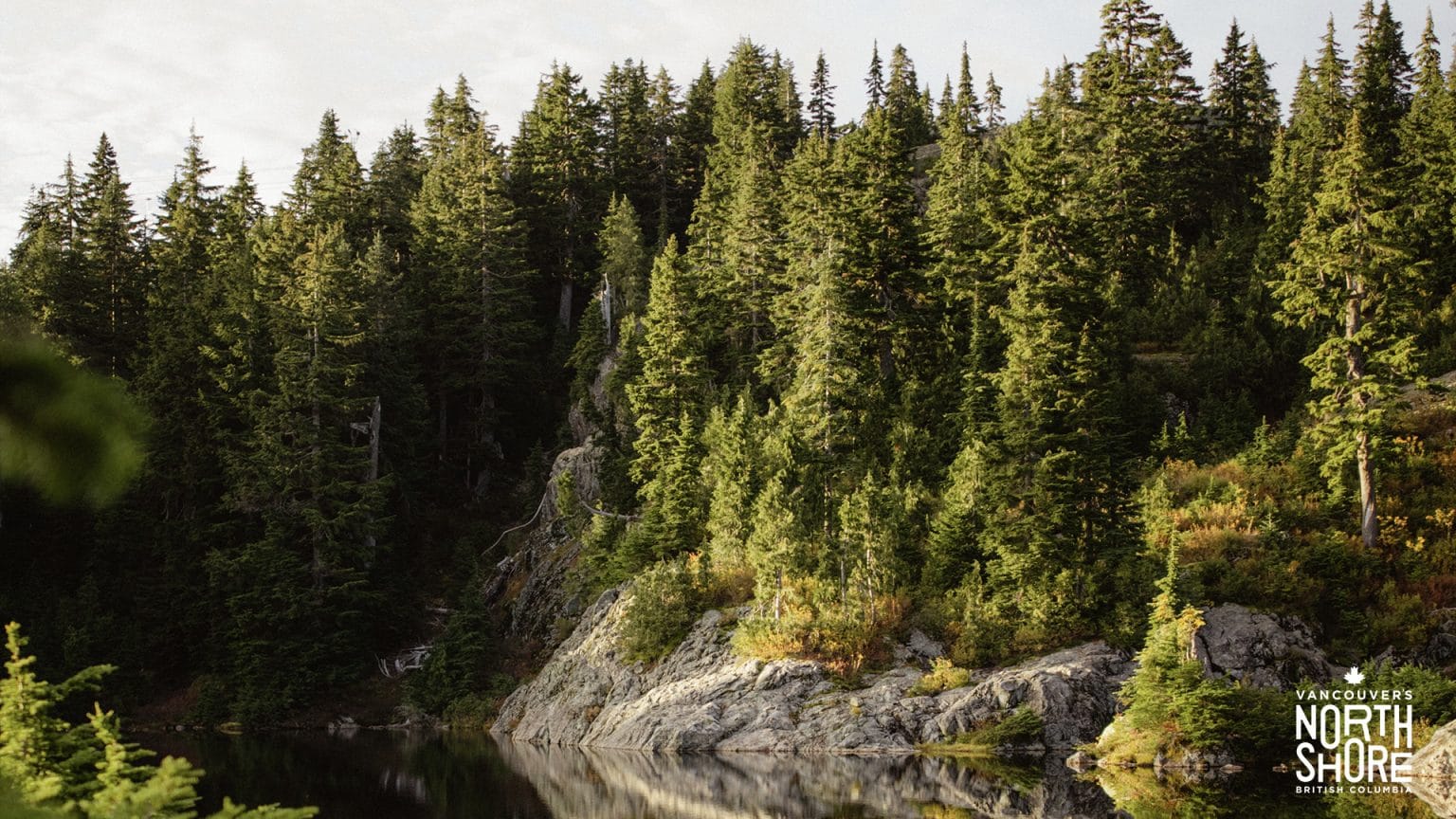 Downloadable Vancouver's North Shore Zoom Backgrounds - Vancouver's ...