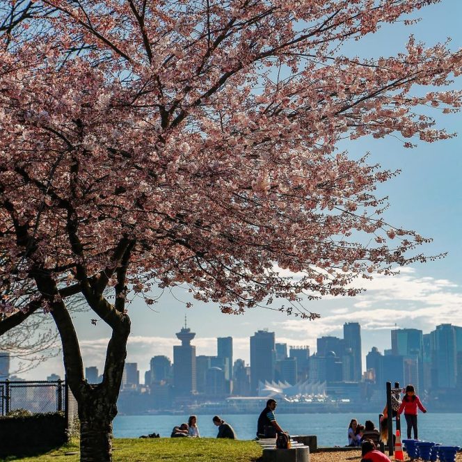 Deep Cove - Vancouver's North Shore