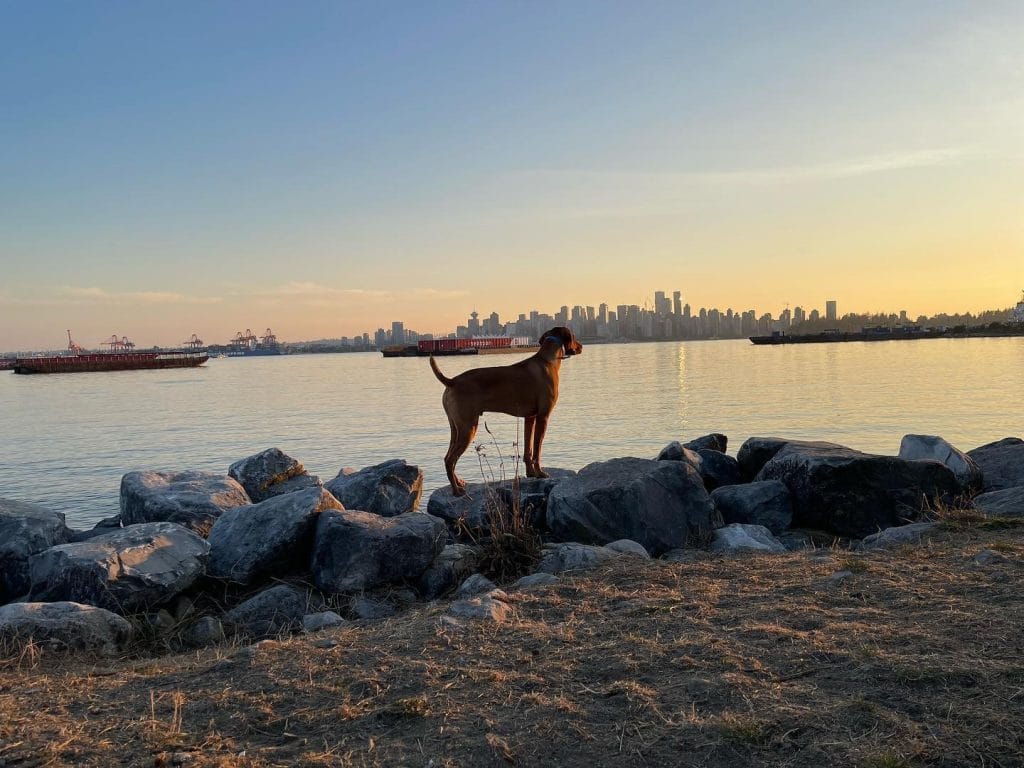 A Guide to the Vancouver's North Shore Spirit Trail - Vancouver's North ...