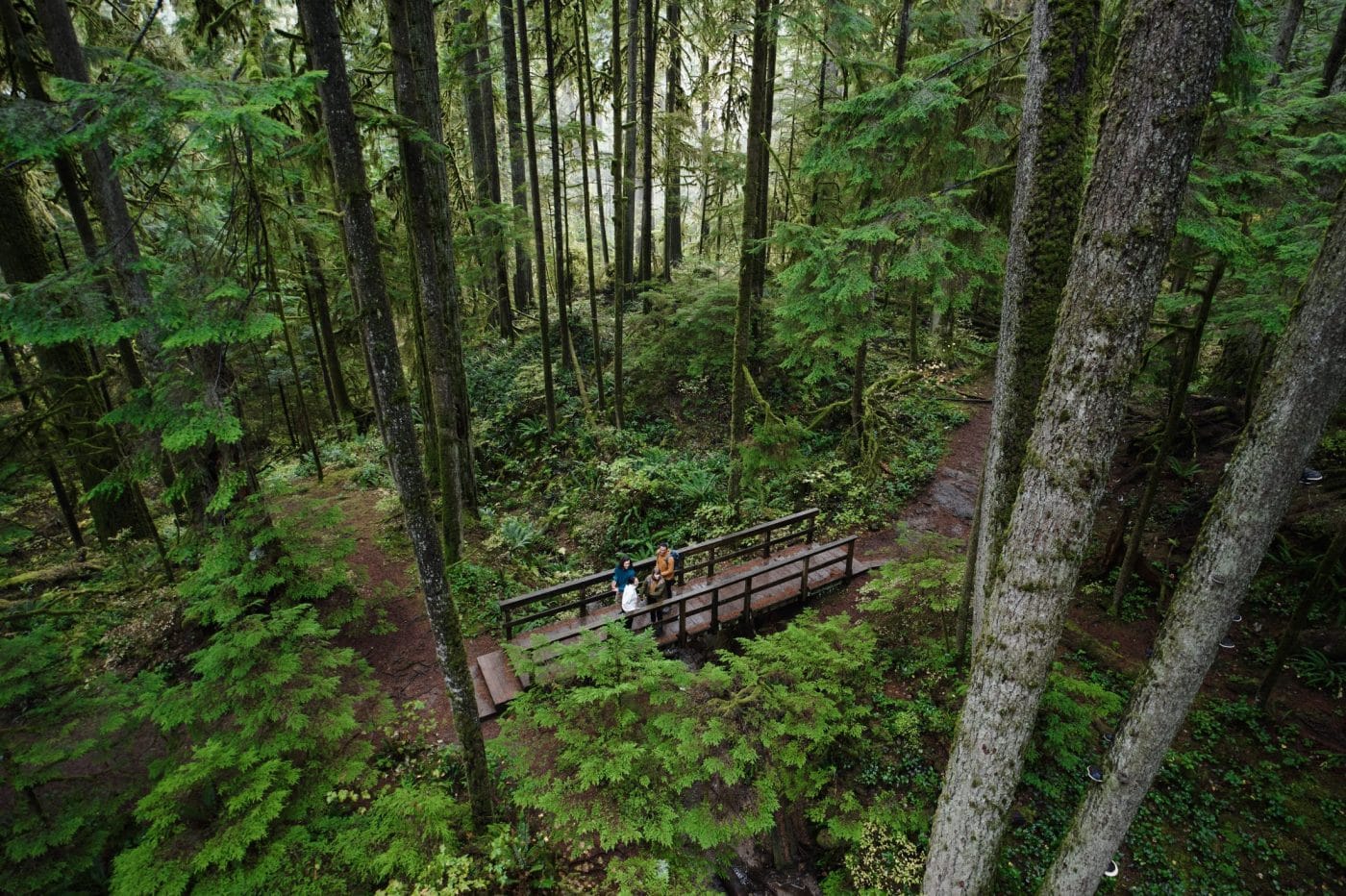 Canada’s Most Livable City? Vancouver’s North Shore Takes the Top Spot ...